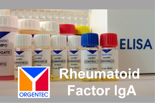 IN FUNG Co., Ltd - Product - Rheumatoid Factor IgA